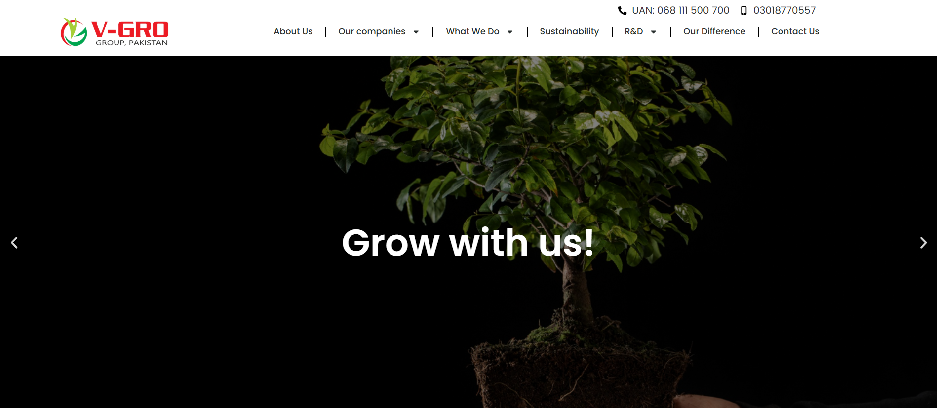 Contact Us - V-Gro Group